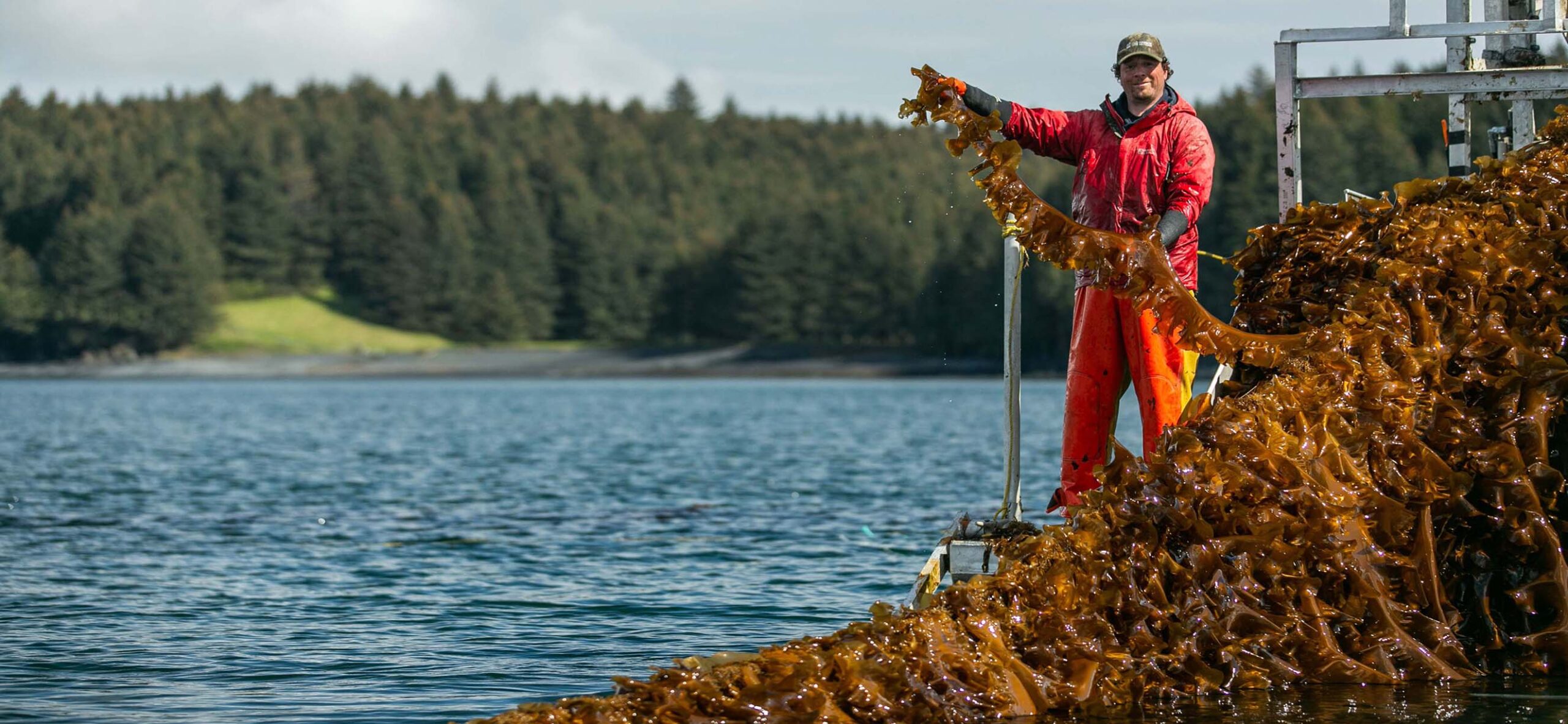 Blue Evolution unveils breakthrough in biomining - BLUE EVOLUTION